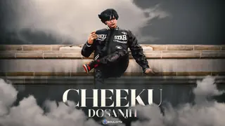 Watch 8bitHeadFlicker Live Stream - Cheeku / SoulCity By Echo RP🚀/ GTA ...